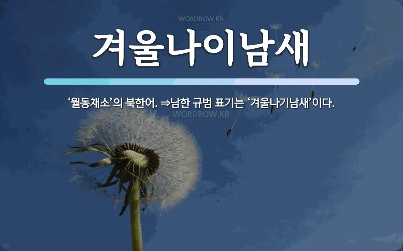 겨울나이남새 뜻 ‘월동채소의 북한어 ⇒남한 규범 표기는 ‘겨울나기남새이다