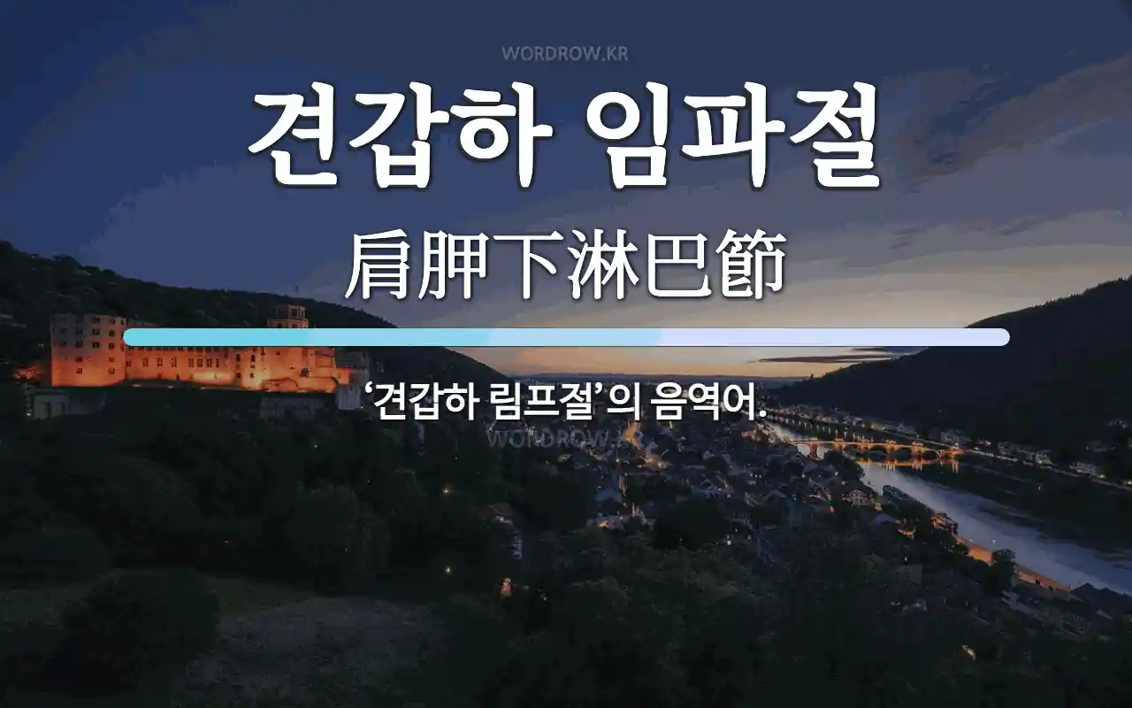 견갑하 임파절 뜻 ‘견갑하 림프절의 음역어