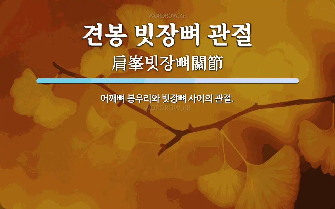 견봉 빗장뼈 관절 뜻 어깨뼈 봉우리와 빗장뼈 사이의 관절