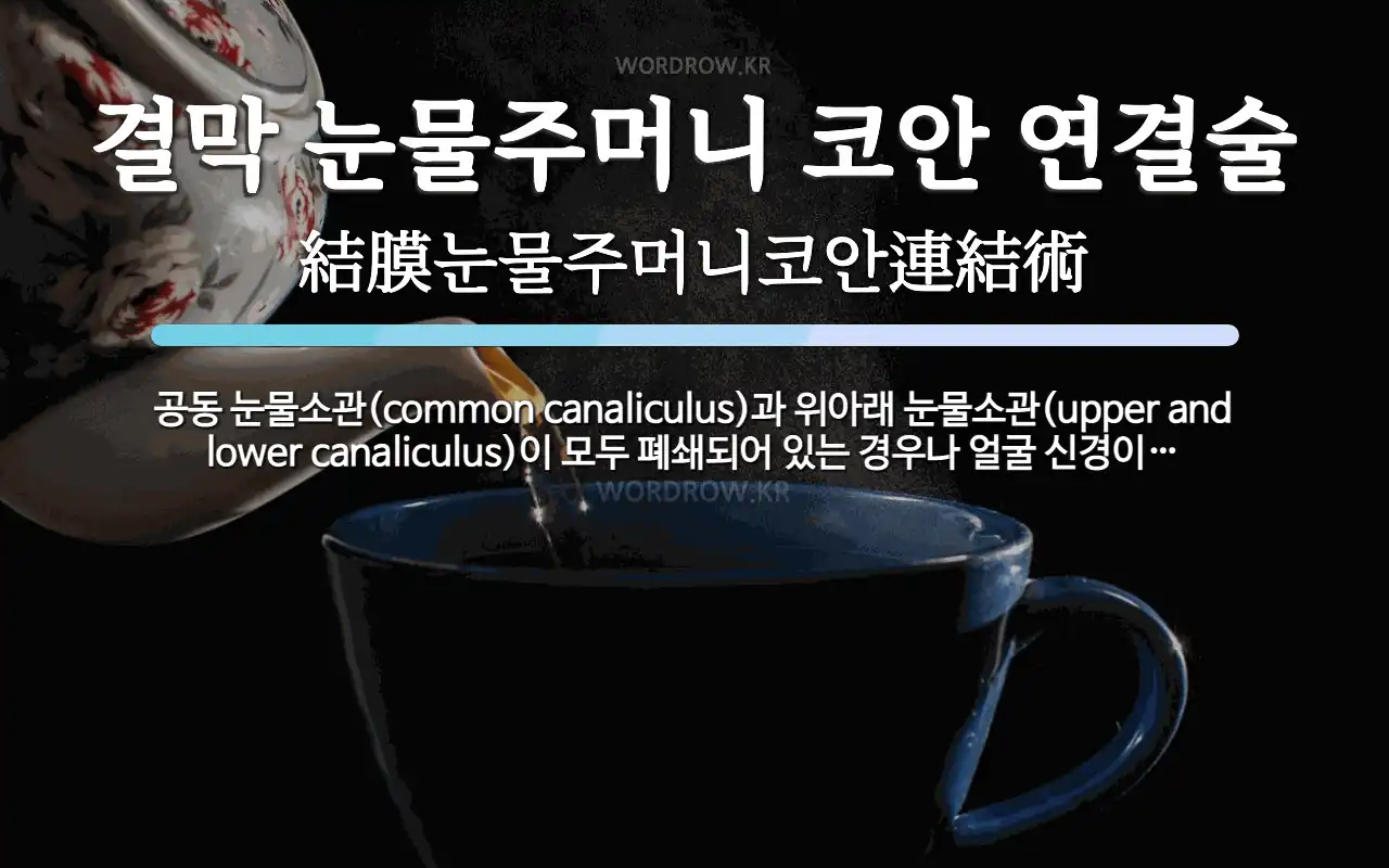 결막 눈물주머니 코안 연결술 뜻 공동 눈물소관common Canaliculus과 위아래 눈물소관upper And Lo