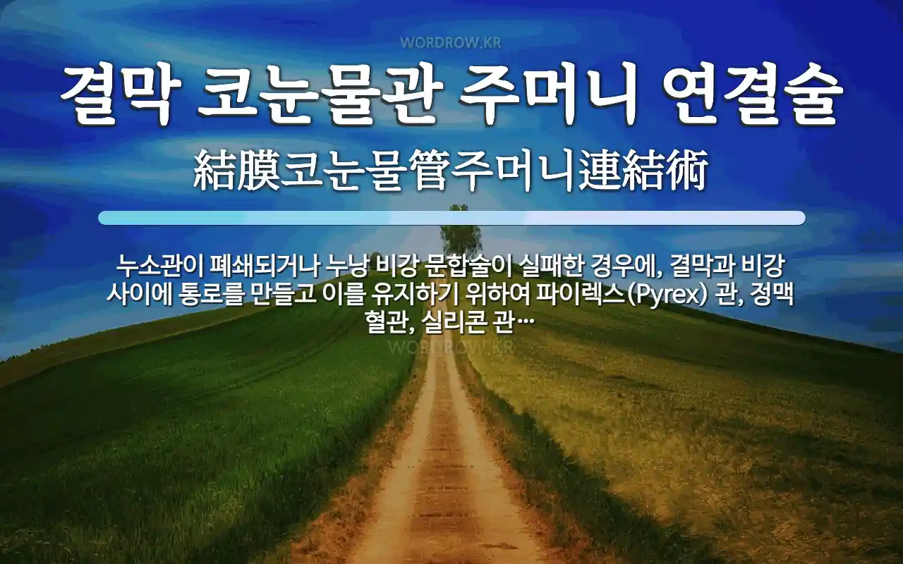 결막 코눈물관 주머니 연결술 뜻 누소관이 폐쇄되거나 누낭 비강 문합술이 실패한 경우에 결막과 비강 사이에 통로를 만들고