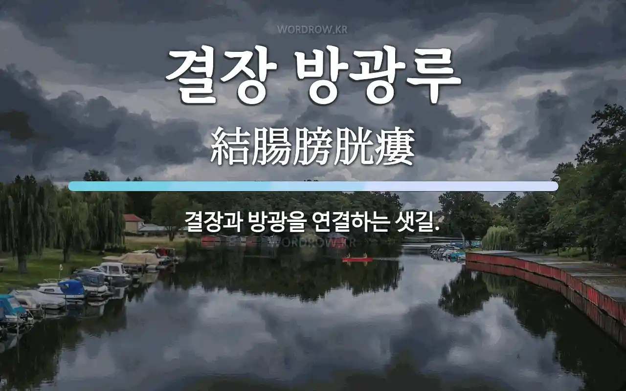 결장 방광루 뜻 결장과 방광을 연결하는 샛길