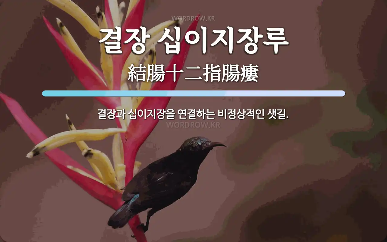 결장 십이지장루 뜻 결장과 십이지장을 연결하는 비정상적인 샛길