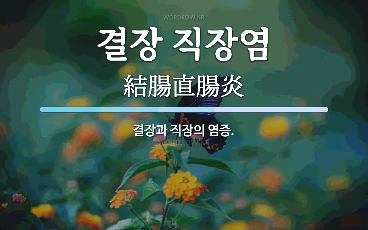 결장 직장염 뜻 결장과 직장의 염증