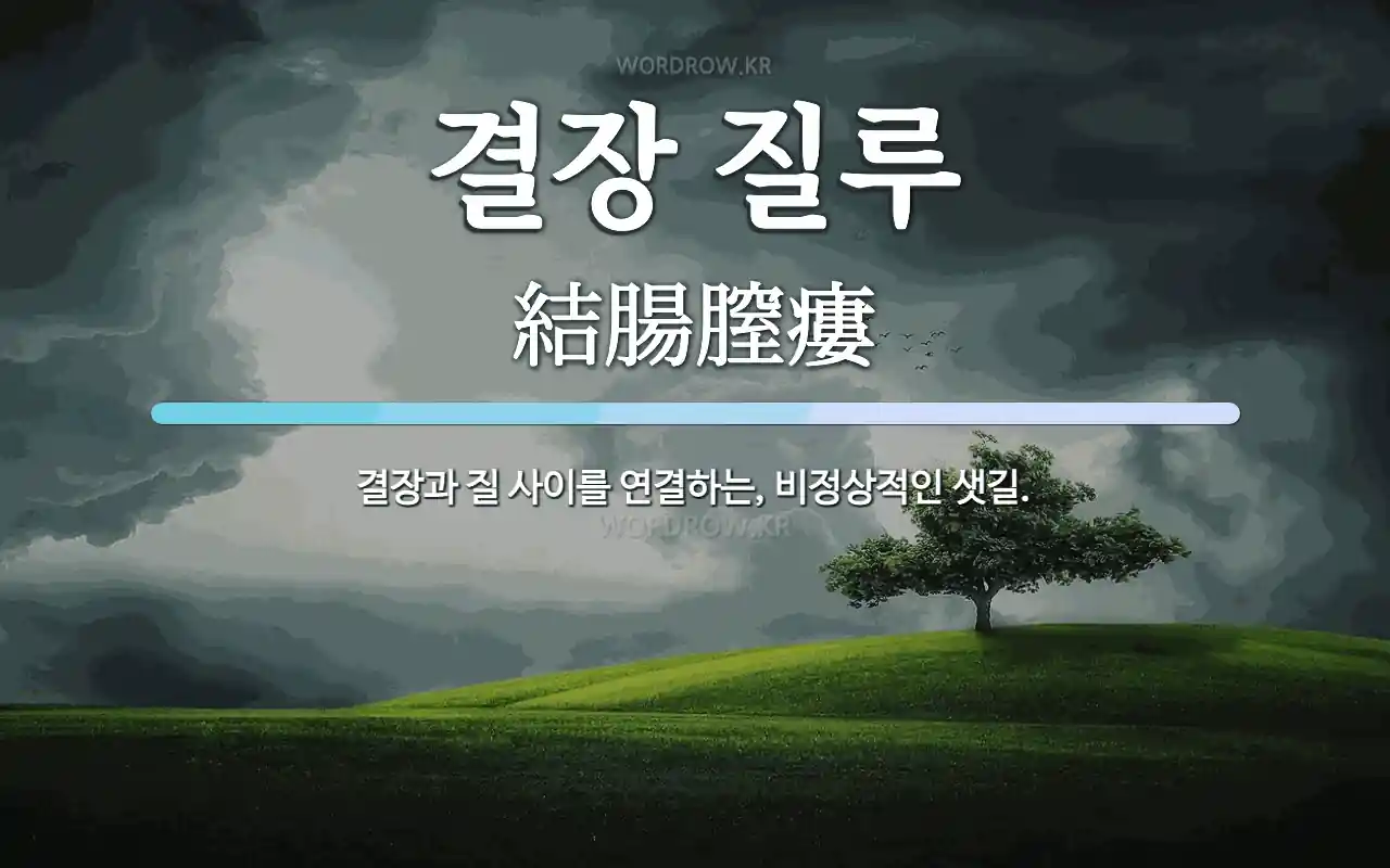 결장 질루 뜻 결장과 질 사이를 연결하는 비정상적인 샛길