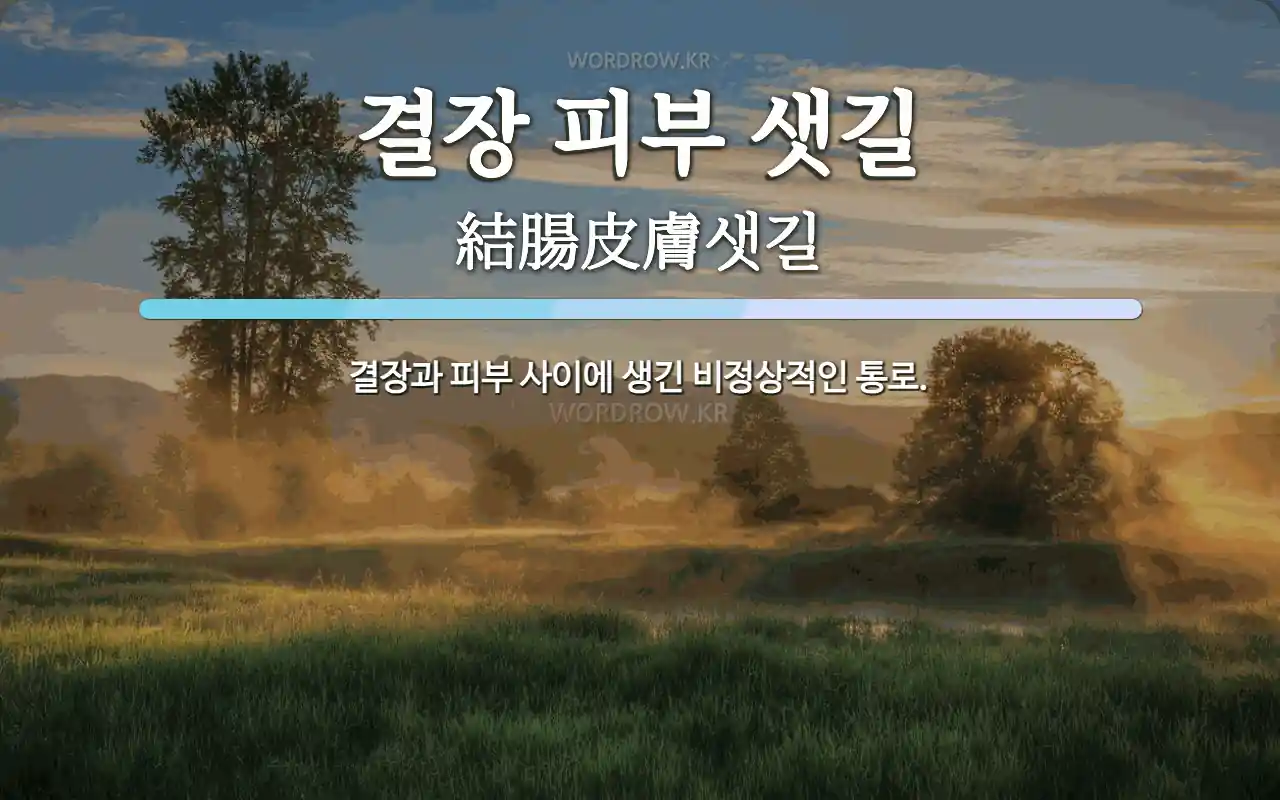 결장 피부 샛길 뜻 결장과 피부 사이에 생긴 비정상적인 통로