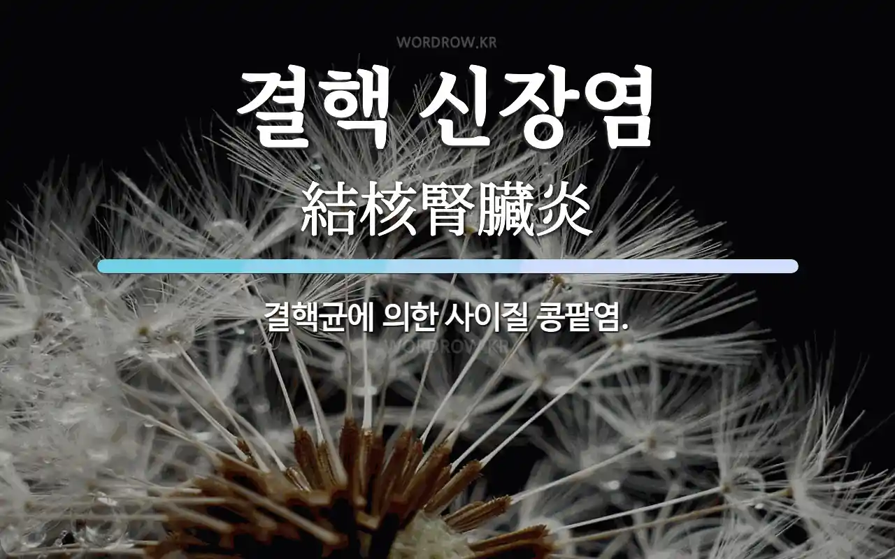 결핵 신장염 뜻 결핵균에 의한 사이질 콩팥염