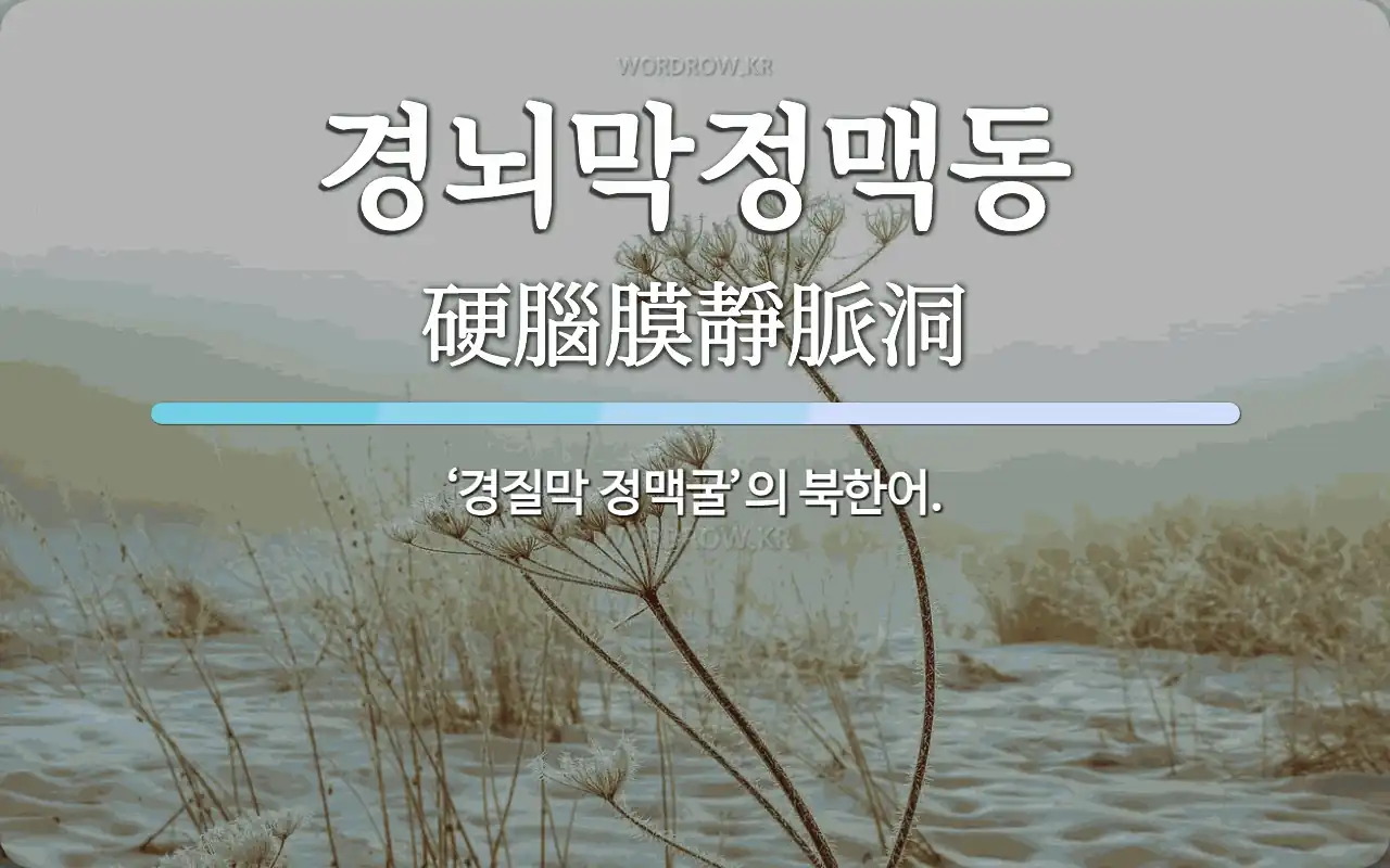 경뇌막정맥동 뜻 ‘경질막 정맥굴의 북한어