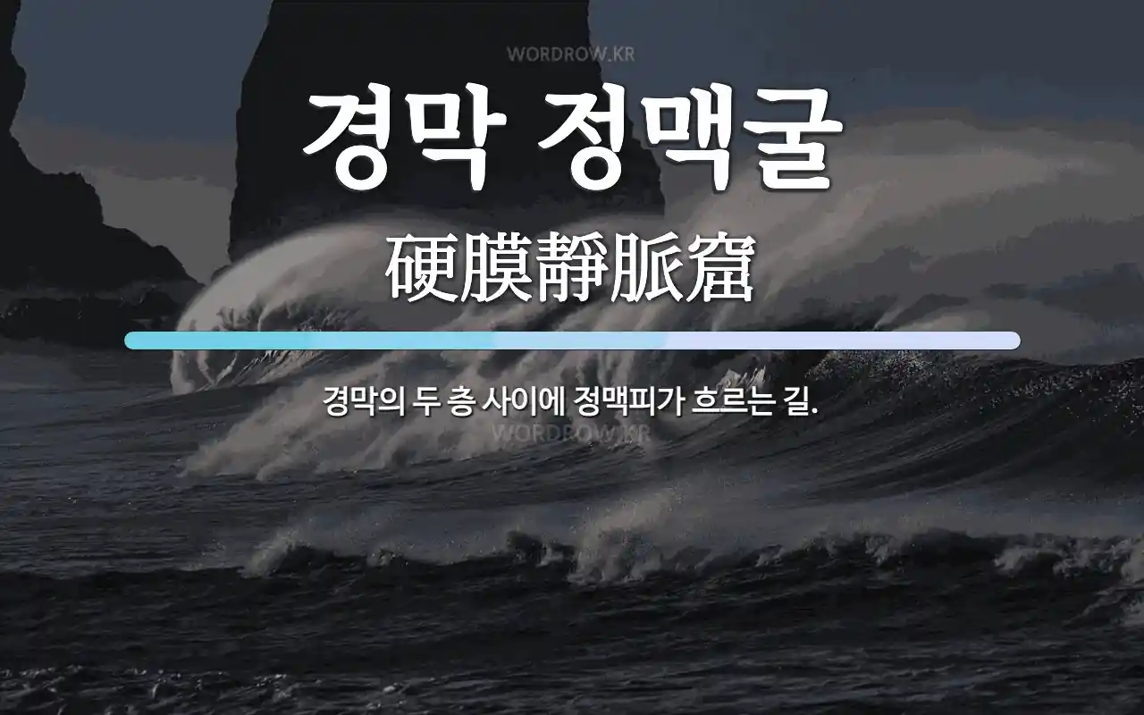 경막 정맥굴 뜻 경막의 두 층 사이에 정맥피가 흐르는 길