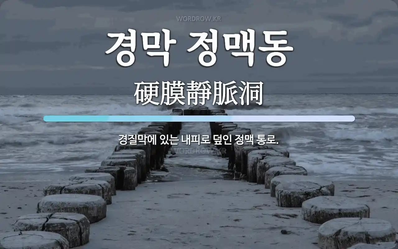 경막 정맥동 뜻 경질막에 있는 내피로 덮인 정맥 통로