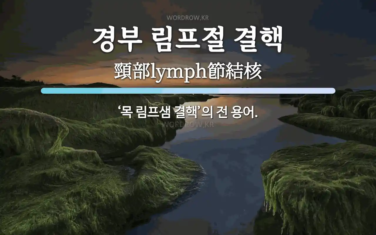 경부 림프절 결핵 뜻 ‘목 림프샘 결핵의 전 용어