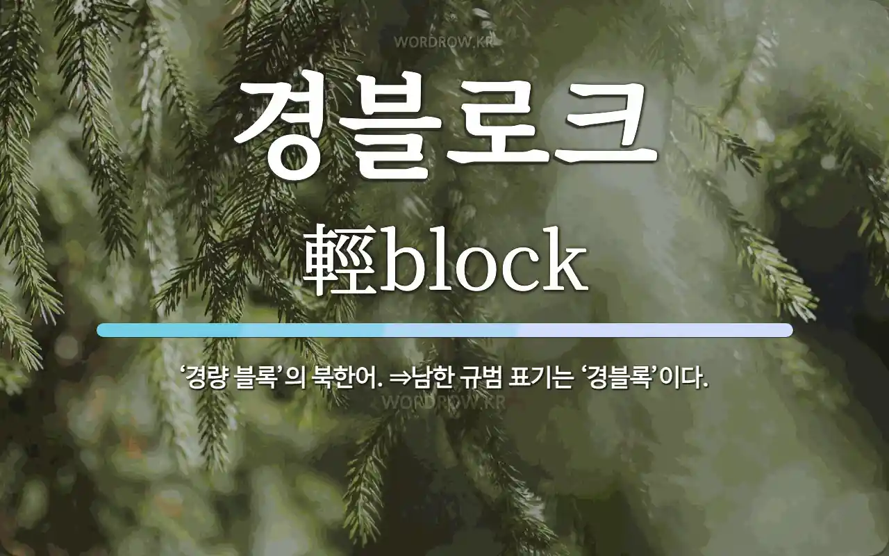 경블로크 뜻 ‘경량 블록의 북한어 ⇒남한 규범 표기는 ‘경블록이다