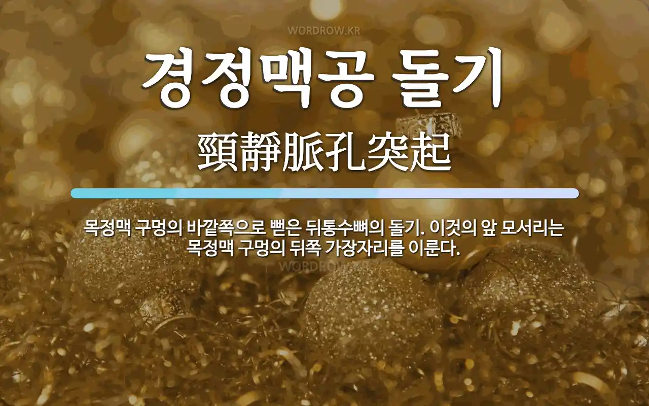경정맥공 돌기 뜻 목정맥 구멍의 바깥쪽으로 뻗은 뒤통수뼈의 돌기 이것의 앞 모서리는 목정맥 구멍의 뒤쪽 가