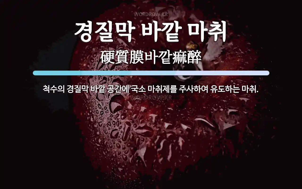 경질막 바깥 마취 뜻 척수의 경질막 바깥 공간에 국소 마취제를 주사하여 유도하는 마취