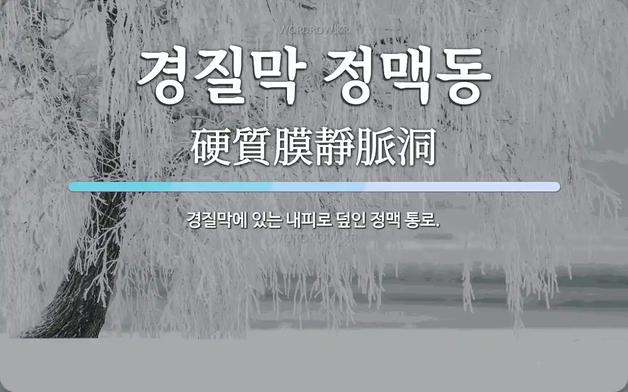 경질막 정맥동 뜻 경질막에 있는 내피로 덮인 정맥 통로