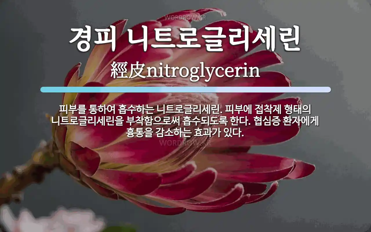 경피 니트로글리세린 뜻 피부를 통하여 흡수하는 니트로글리세린 피부에 접착제 형태의 니트로글리세린을 부착함으로써