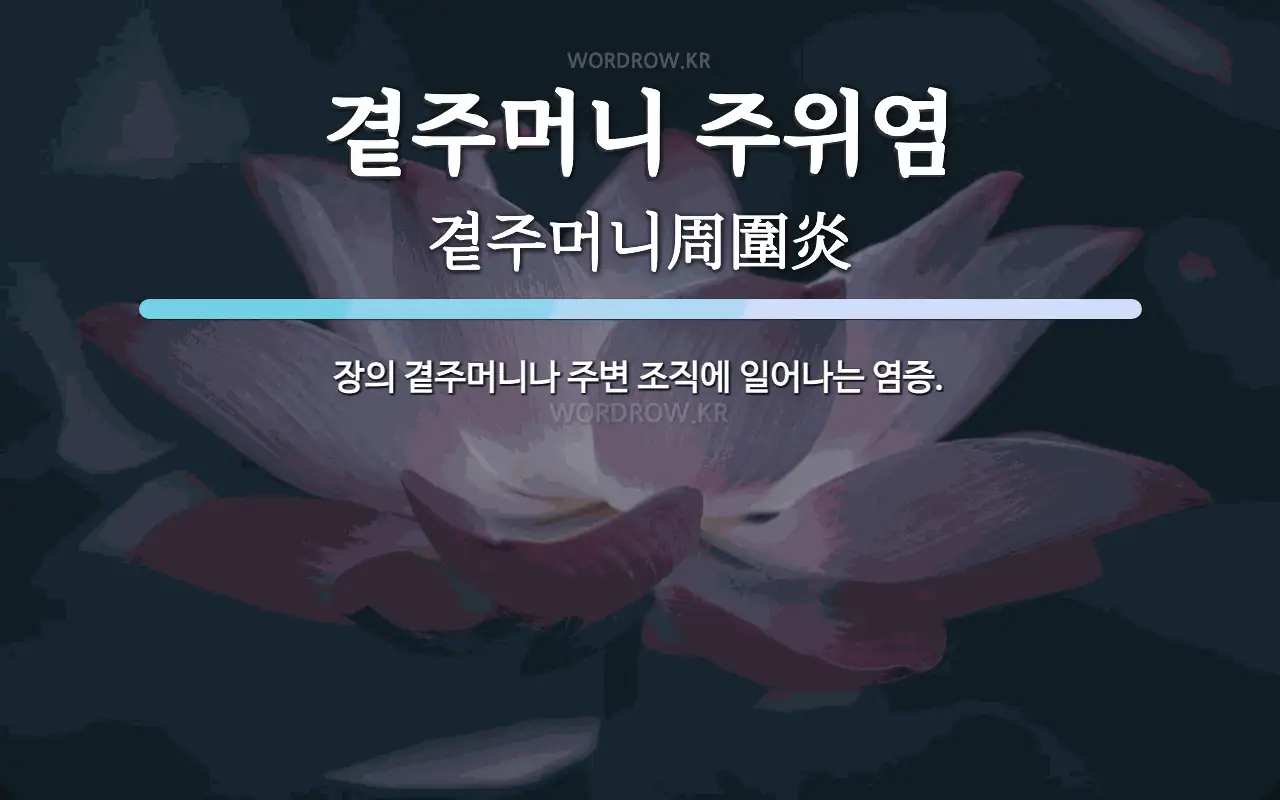 곁주머니 주위염 뜻 장의 곁주머니나 주변 조직에 일어나는 염증