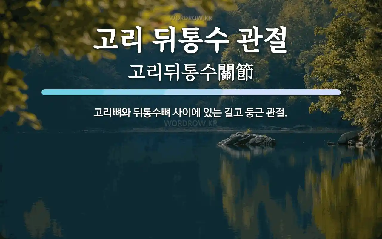 고리 뒤통수 관절 뜻 고리뼈와 뒤통수뼈 사이에 있는 길고 둥근 관절