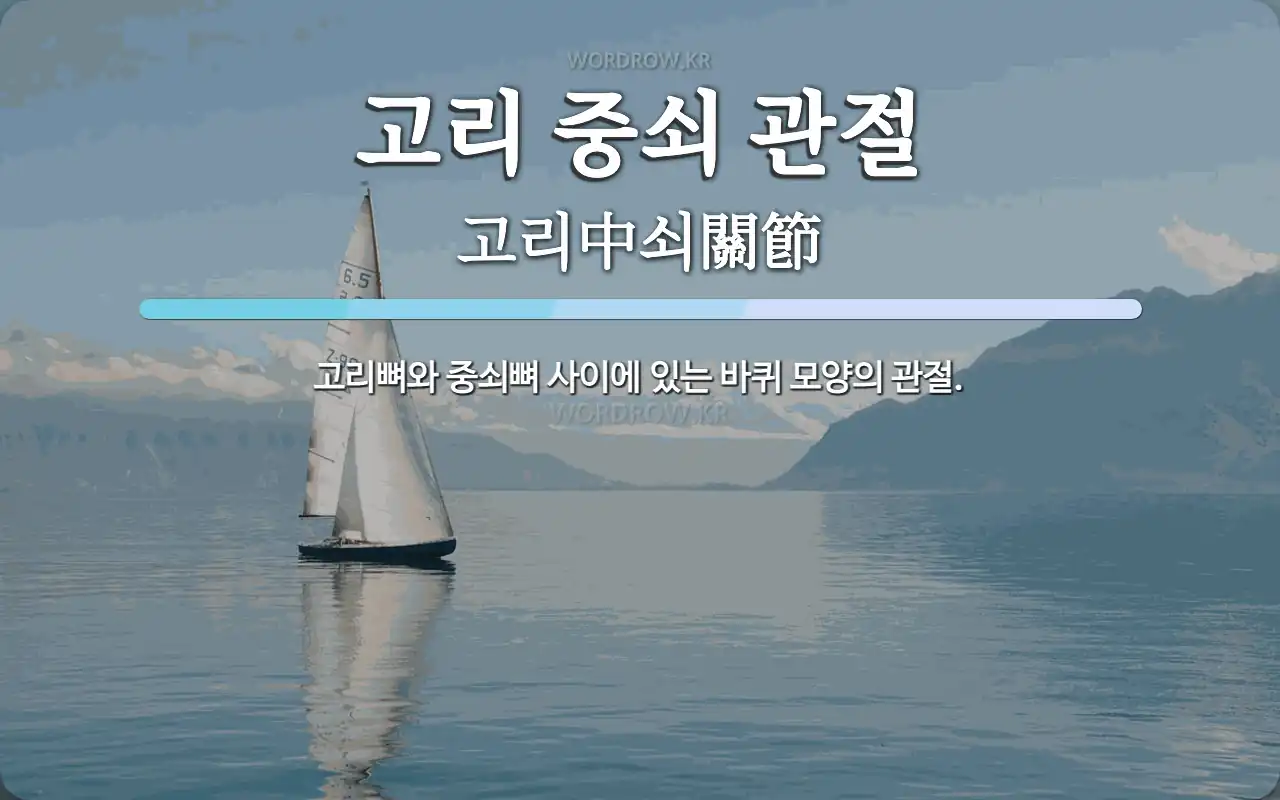 고리 중쇠 관절 뜻 고리뼈와 중쇠뼈 사이에 있는 바퀴 모양의 관절