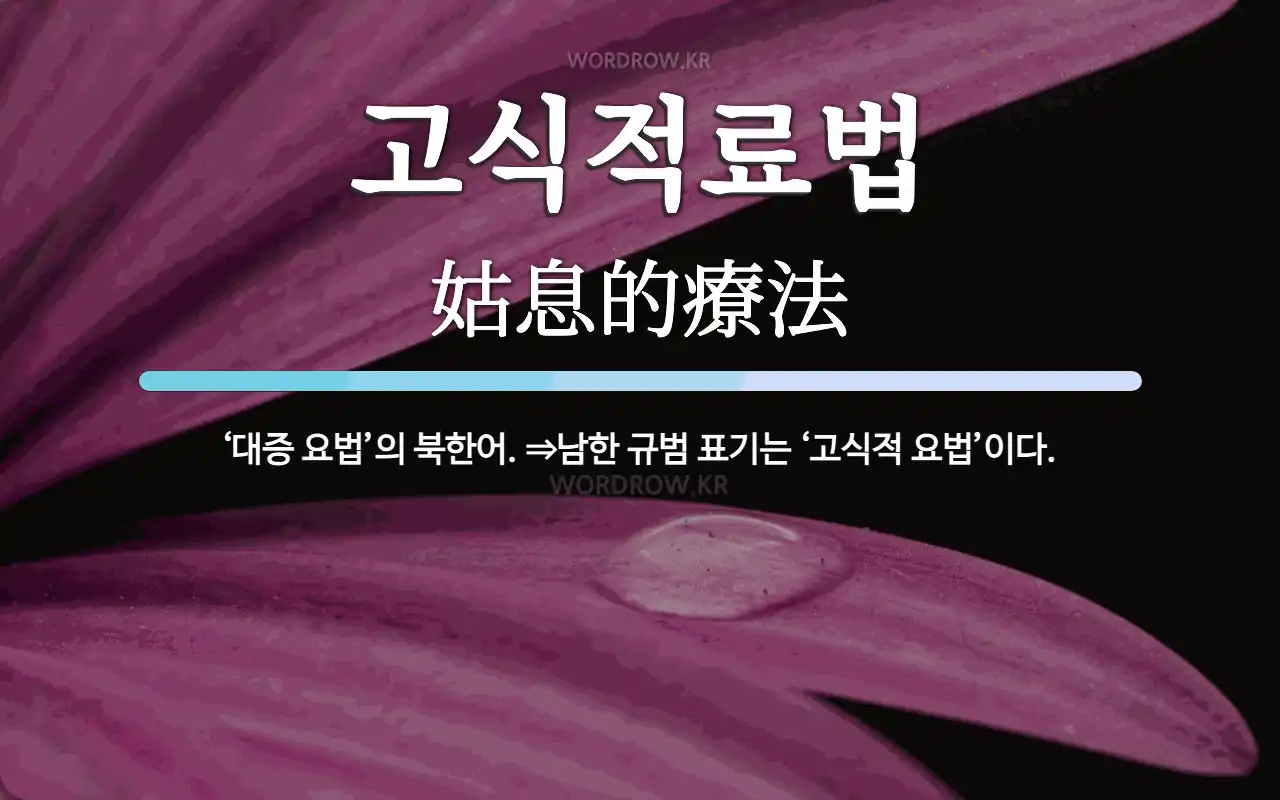고식적료법 뜻 ‘대증 요법의 북한어 ⇒남한 규범 표기는 ‘고식적 요법이다