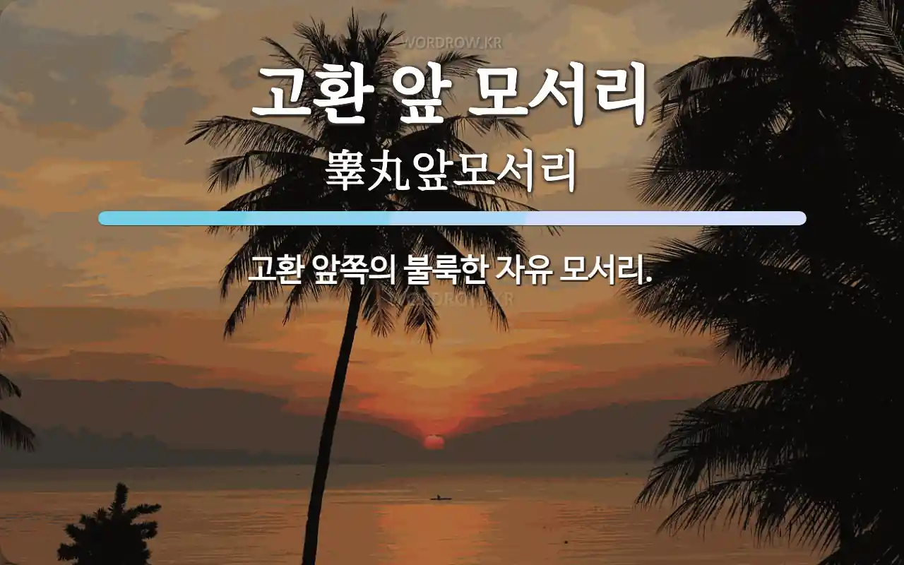 고환 앞 모서리 뜻 고환 앞쪽의 불룩한 자유 모서리