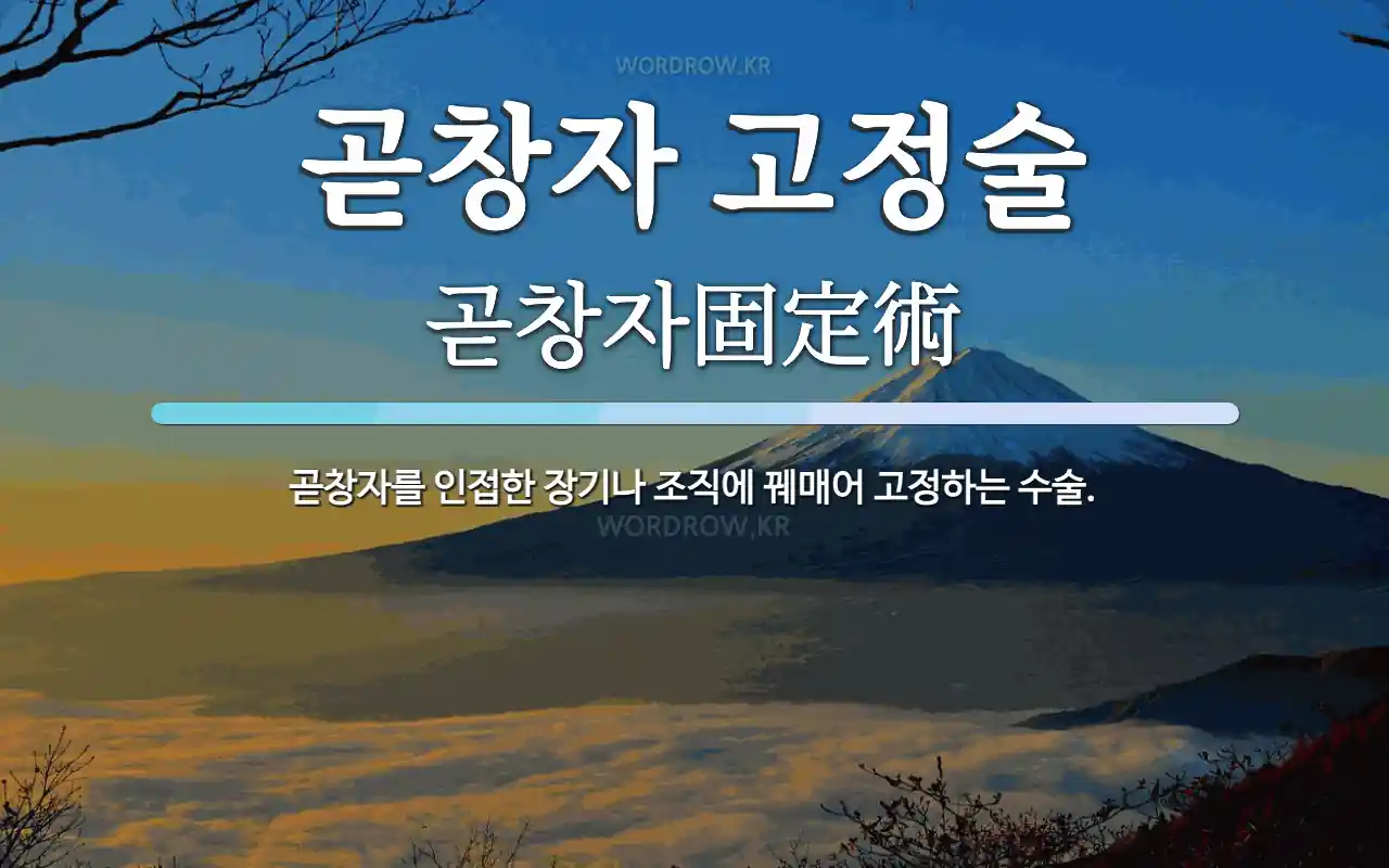 곧창자 고정술 뜻 곧창자를 인접한 장기나 조직에 꿰매어 고정하는 수술