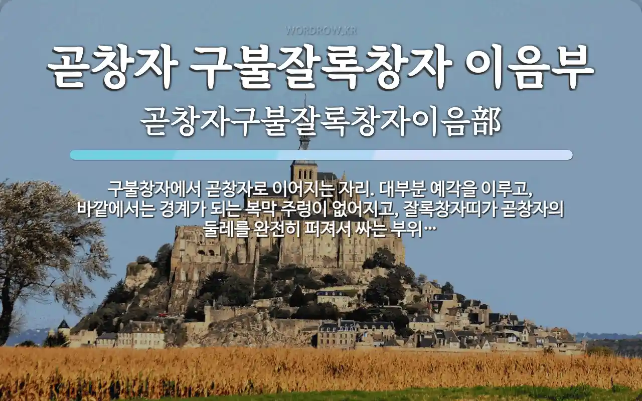 곧창자 구불잘록창자 이음부 뜻 구불창자에서 곧창자로 이어지는 자리 대부분 예각을 이루고 바깥에서는 경계가 되는 복막