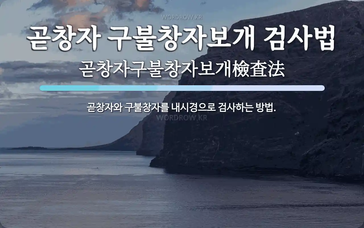 곧창자 구불창자보개 검사법 뜻 곧창자와 구불창자를 내시경으로 검사하는 방법