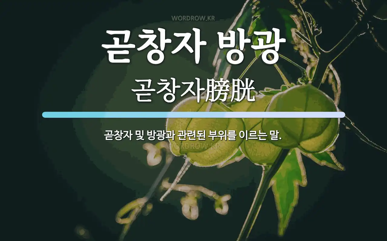 곧창자 방광 뜻 곧창자 및 방광과 관련된 부위를 이르는 말