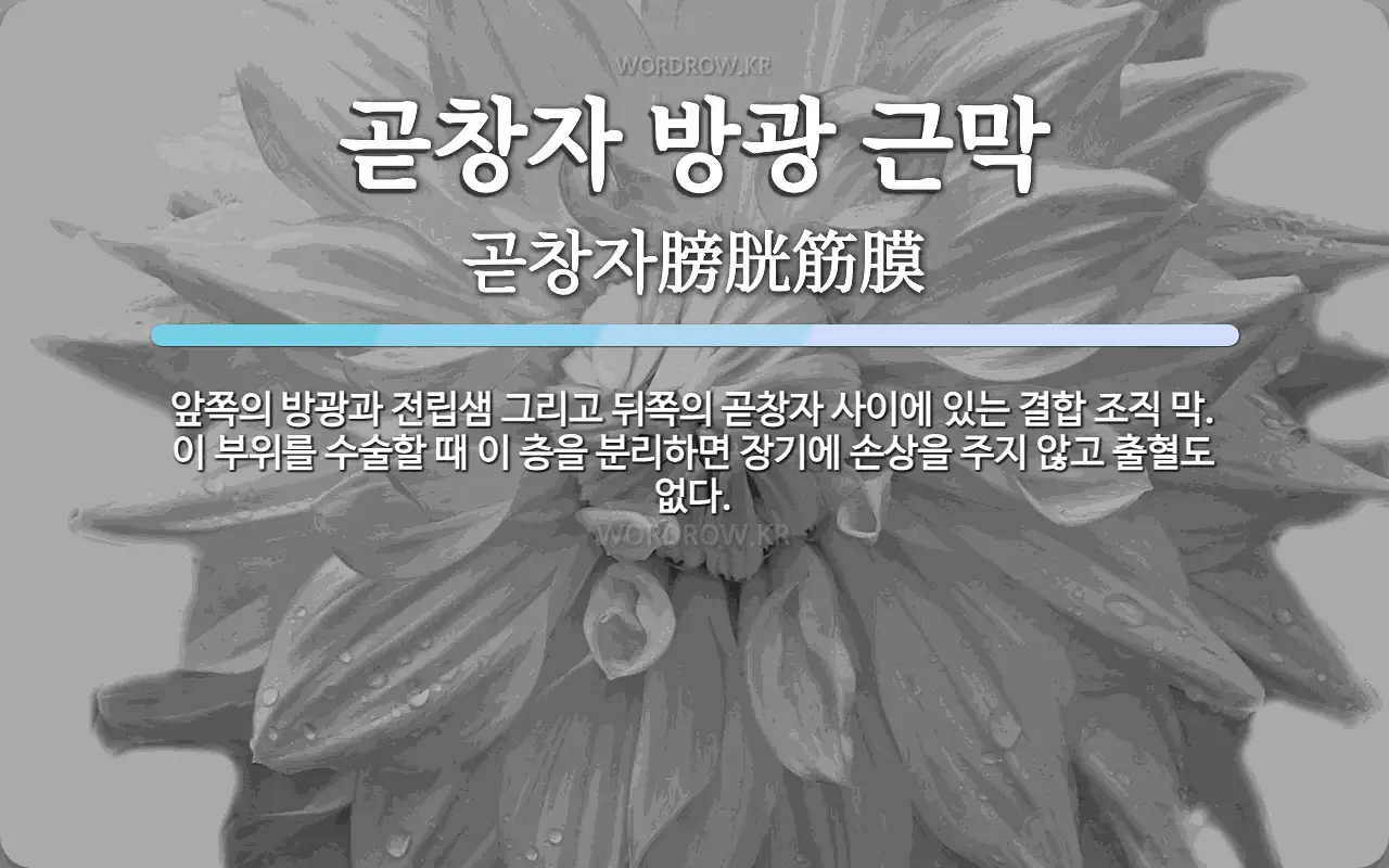 곧창자 방광 근막 뜻 앞쪽의 방광과 전립샘 그리고 뒤쪽의 곧창자 사이에 있는 결합 조직 막 이 부위를 수술할