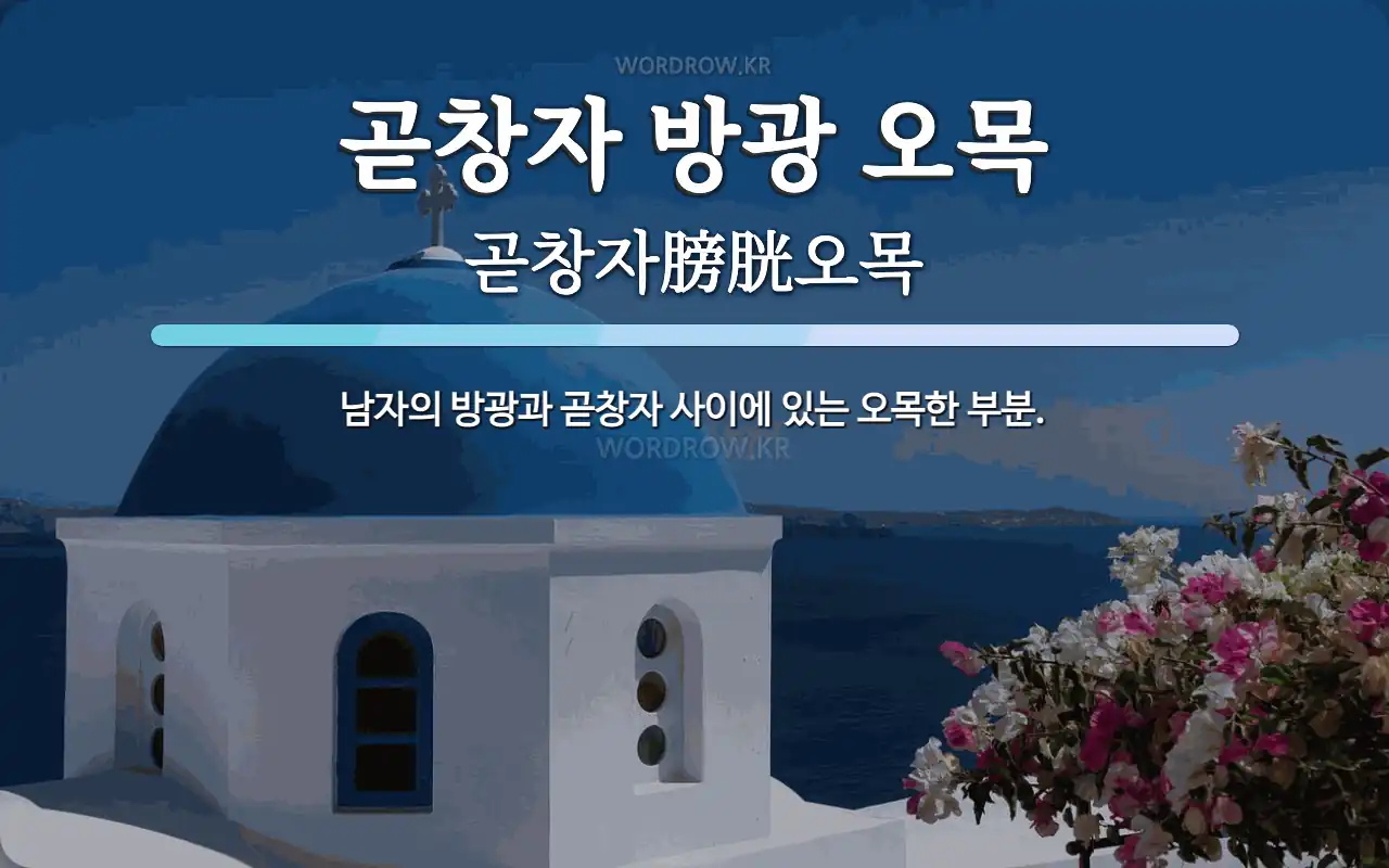 곧창자 방광 오목 뜻 남자의 방광과 곧창자 사이에 있는 오목한 부분