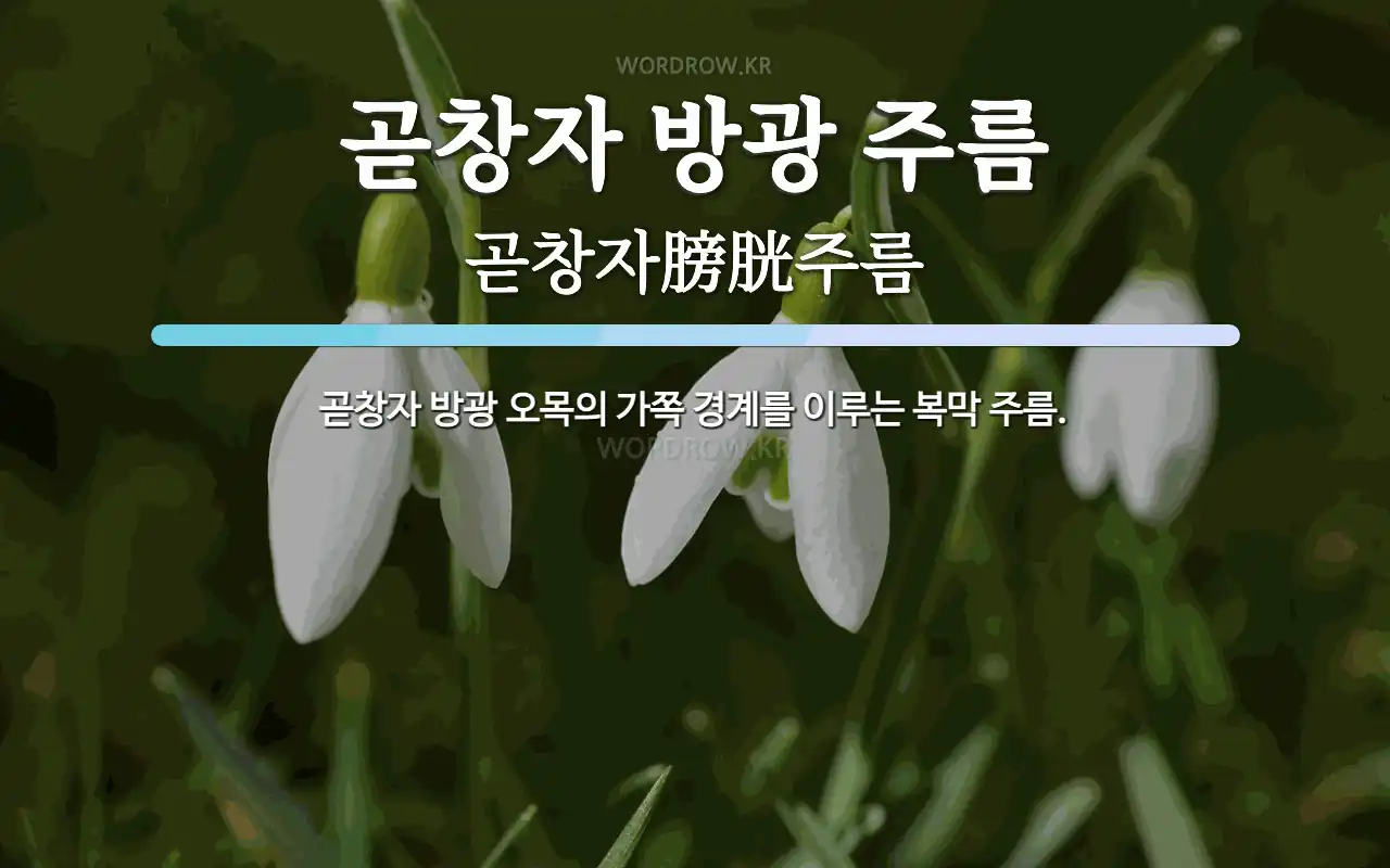 곧창자 방광 주름 뜻 곧창자 방광 오목의 가쪽 경계를 이루는 복막 주름