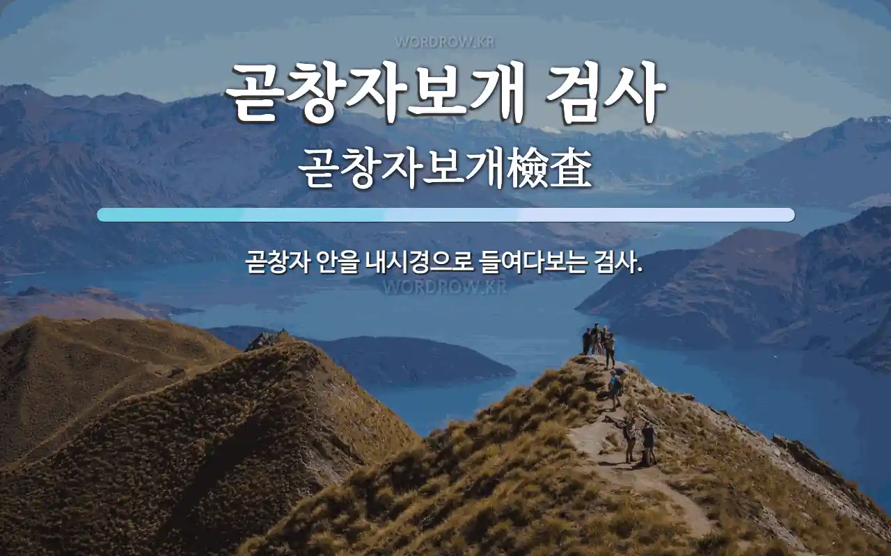 곧창자보개 검사 뜻 곧창자 안을 내시경으로 들여다보는 검사