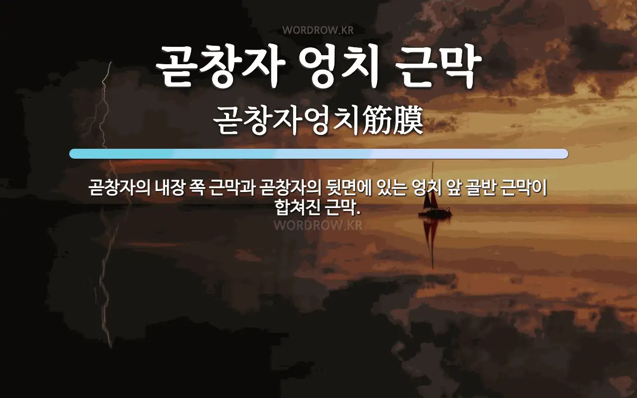 곧창자 엉치 근막 뜻 곧창자의 내장 쪽 근막과 곧창자의 뒷면에 있는 엉치 앞 골반 근막이 합쳐진 근막