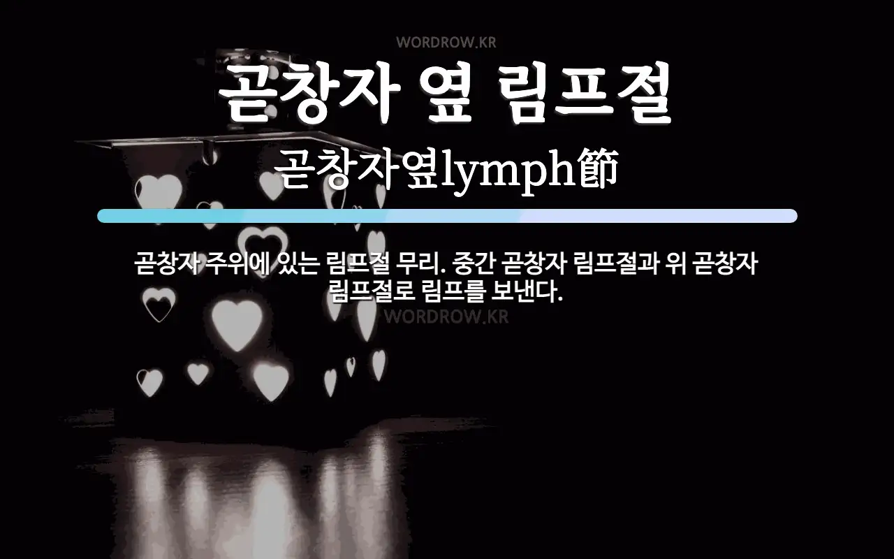곧창자 옆 림프절 뜻 곧창자 주위에 있는 림프절 무리 중간 곧창자 림프절과 위 곧창자 림프절로 림프를 보낸다