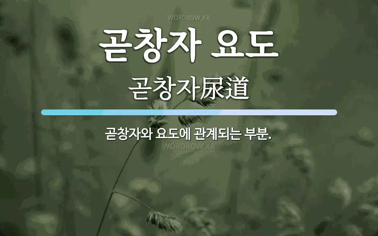 곧창자 요도 뜻 곧창자와 요도에 관계되는 부분