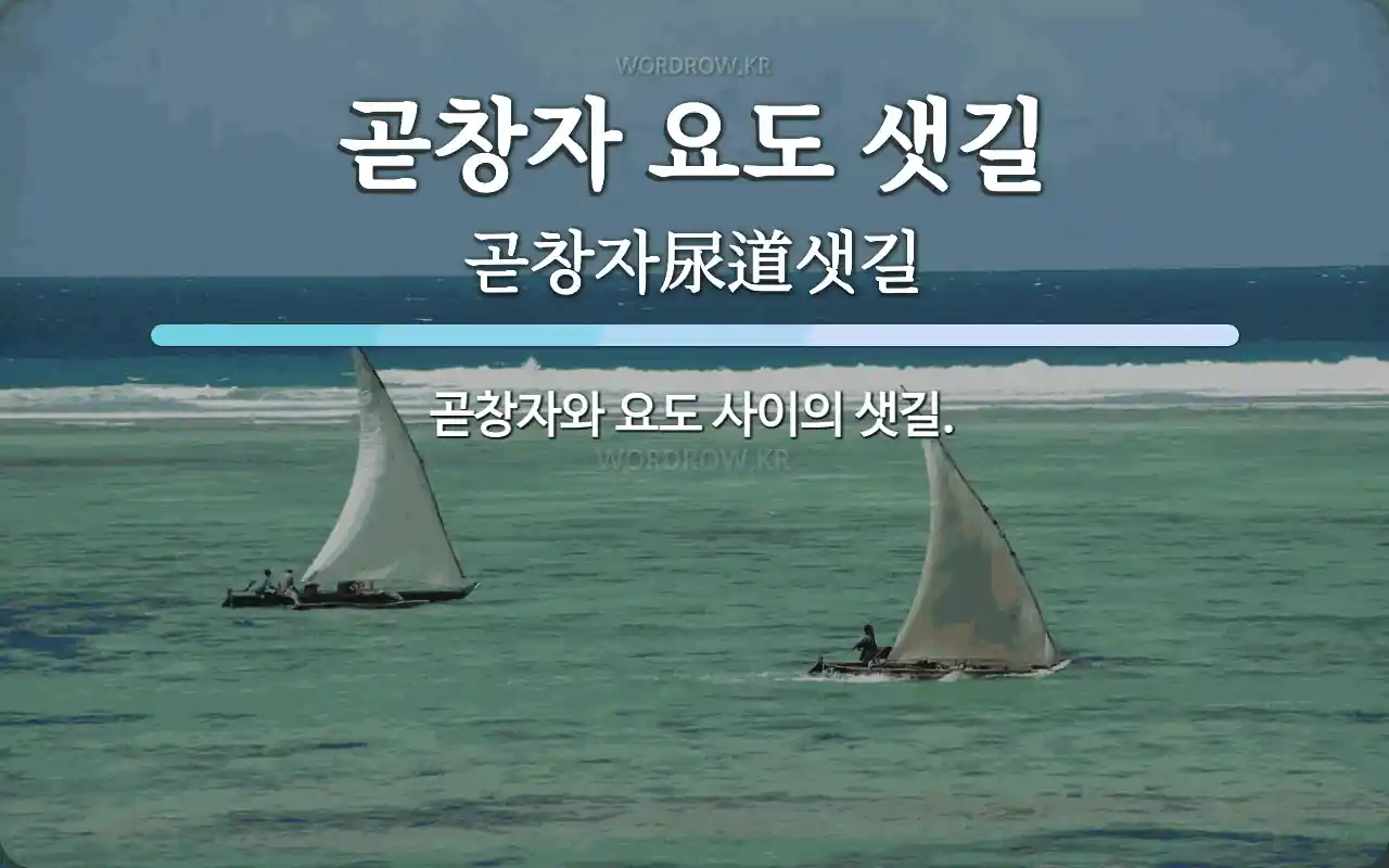 곧창자 요도 샛길 뜻 곧창자와 요도 사이의 샛길