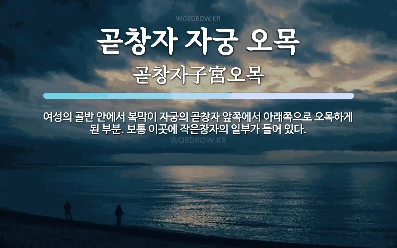 곧창자 자궁 오목 뜻 여성의 골반 안에서 복막이 자궁의 곧창자 앞쪽에서 아래쪽으로 오목하게 된 부분 보통 이곳
