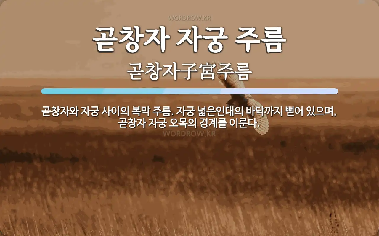 곧창자 자궁 주름 뜻 곧창자와 자궁 사이의 복막 주름 자궁 넓은인대의 바닥까지 뻗어 있으며 곧창자 자궁 오목