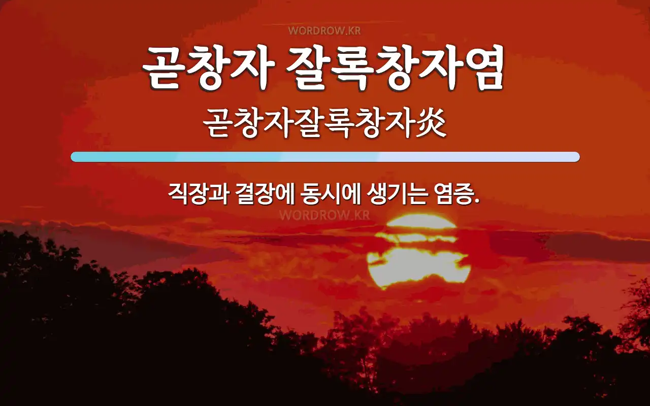 곧창자 잘록창자염 뜻 직장과 결장에 동시에 생기는 염증