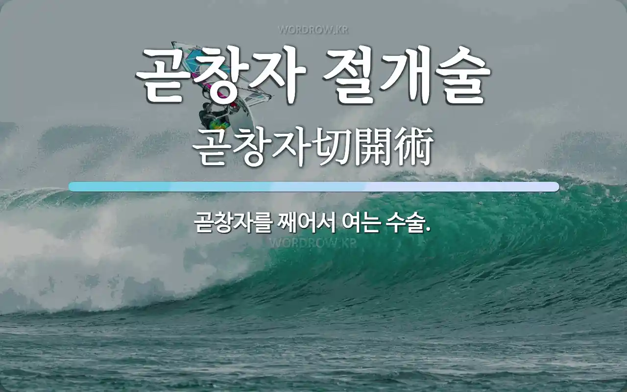 곧창자 절개술 뜻 곧창자를 째어서 여는 수술