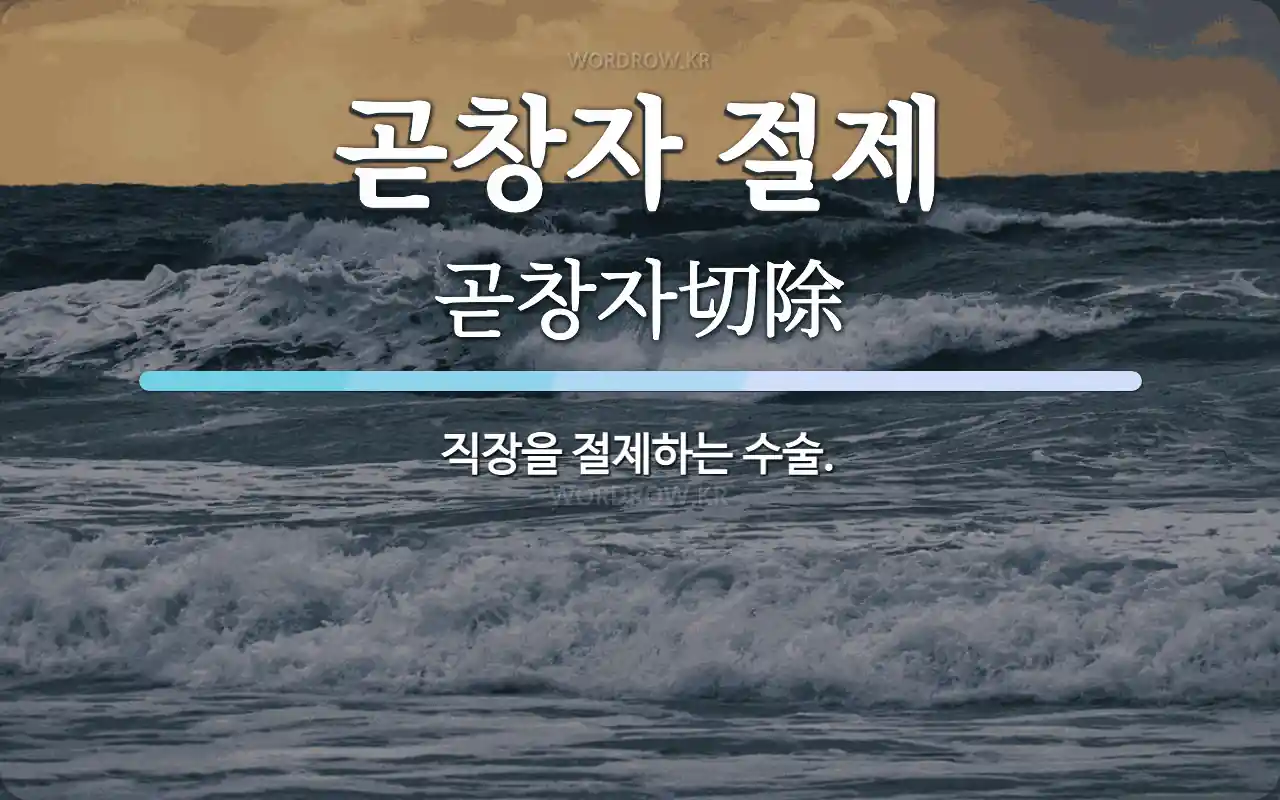 곧창자 절제 뜻 직장을 절제하는 수술