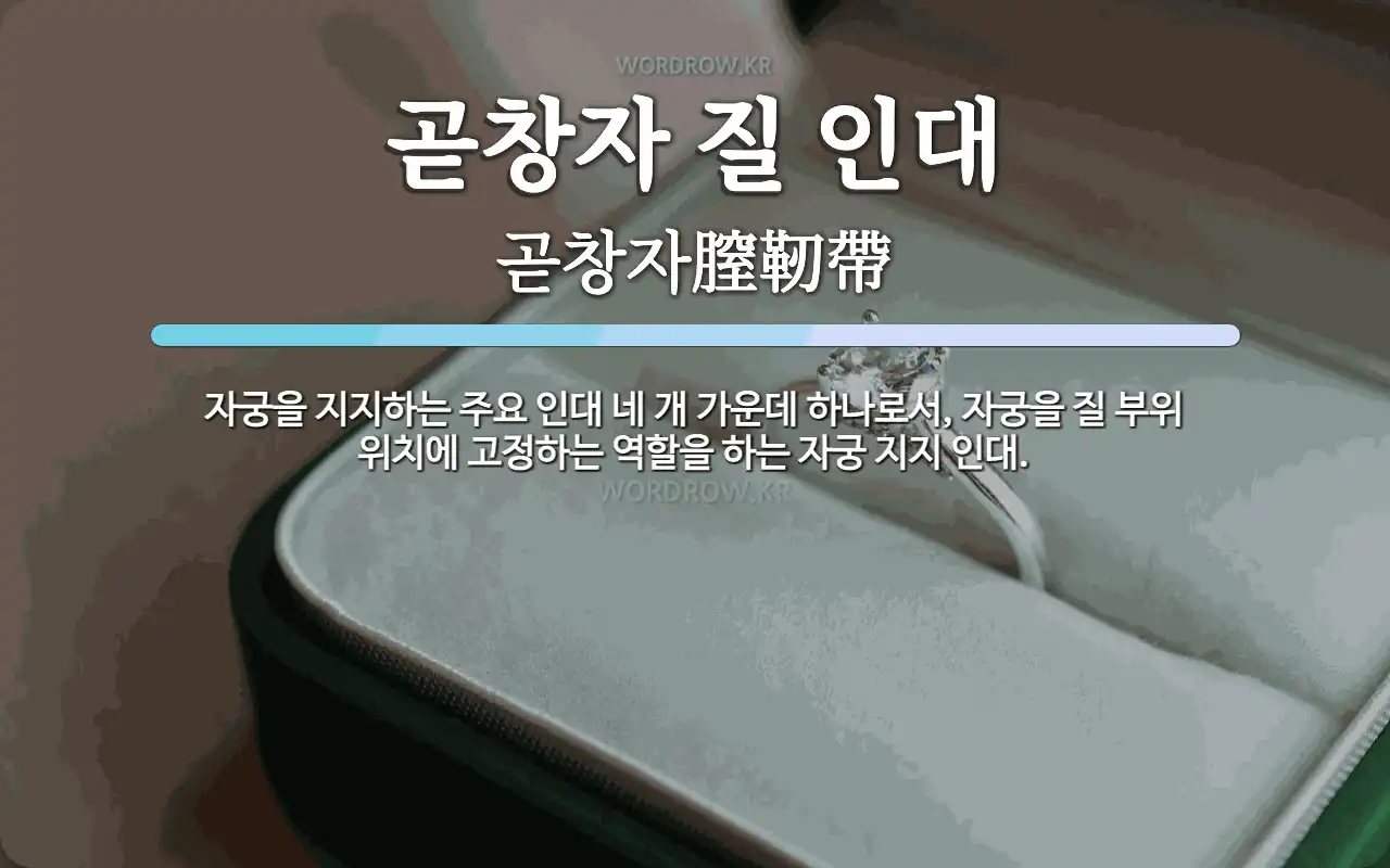 곧창자 질 인대 뜻 자궁을 지지하는 주요 인대 네 개 가운데 하나로서 자궁을 질 부위 위치에 고정하는 역할을