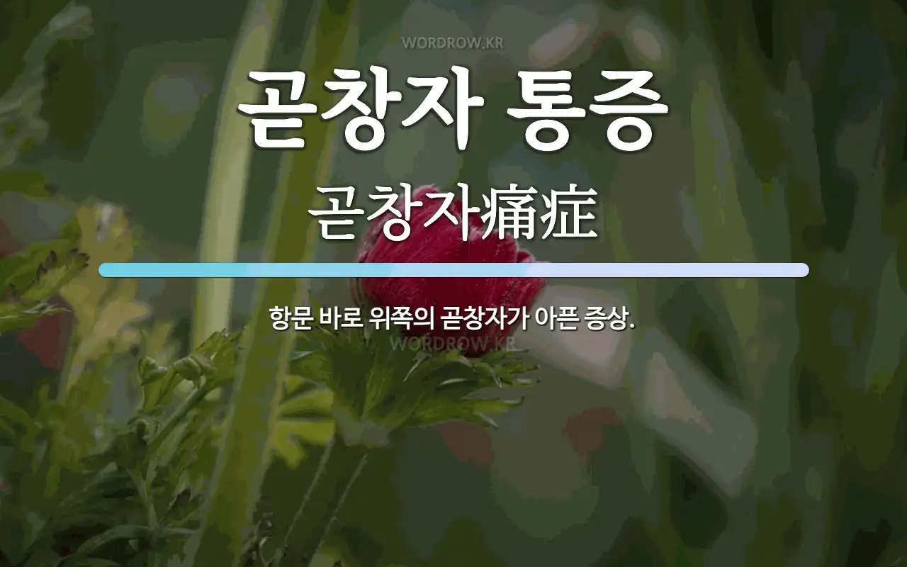 곧창자 통증 뜻 항문 바로 위쪽의 곧창자가 아픈 증상