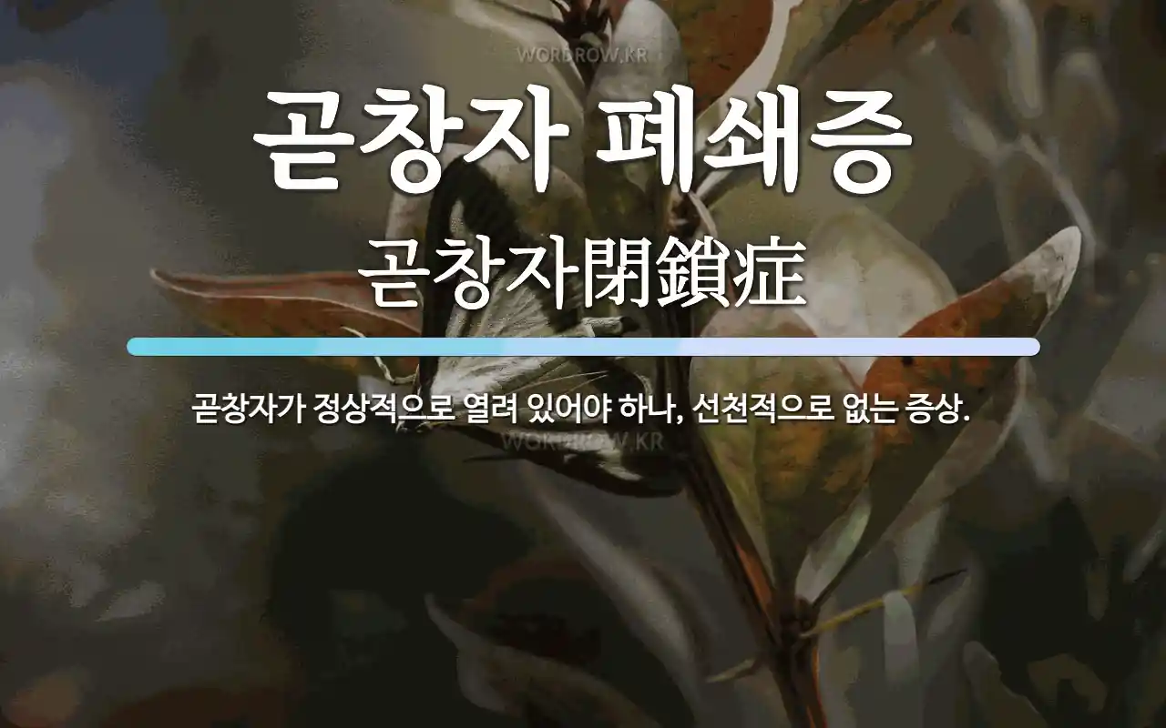 곧창자 폐쇄증 뜻 곧창자가 정상적으로 열려 있어야 하나 선천적으로 없는 증상