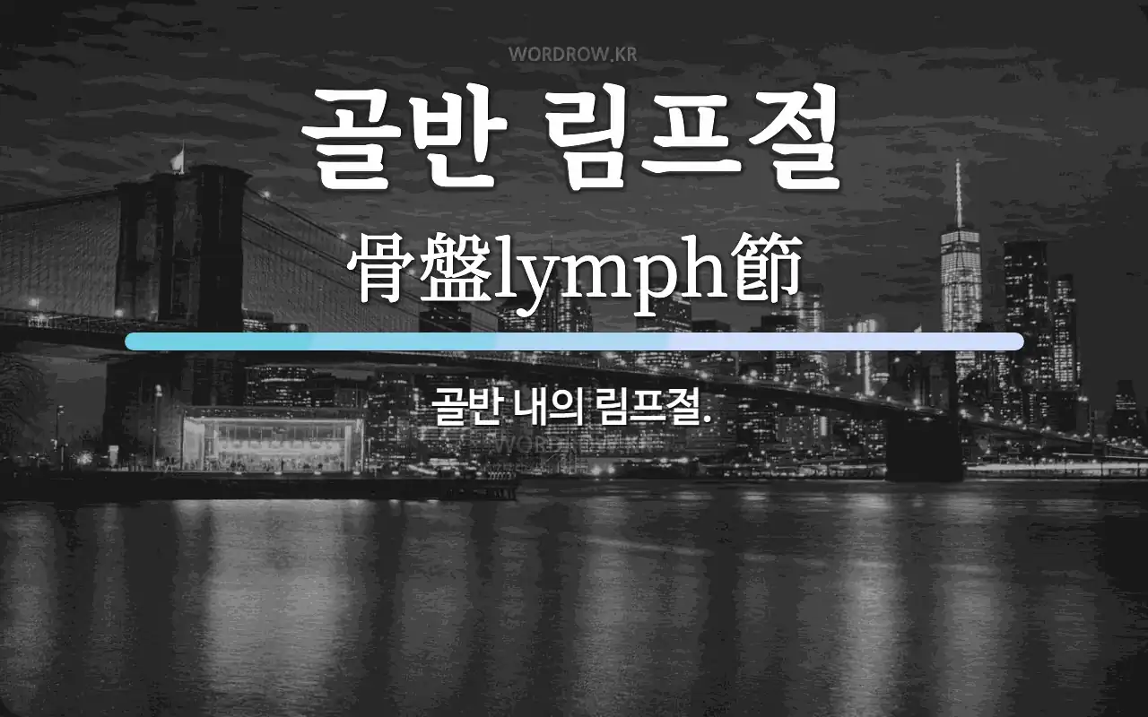 골반 림프절 뜻 골반 내의 림프절