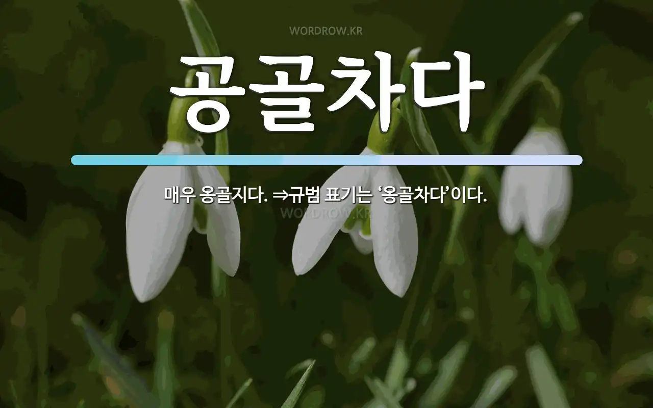 공골차다 뜻 매우 옹골지다 ⇒규범 표기는 ‘옹골차다이다