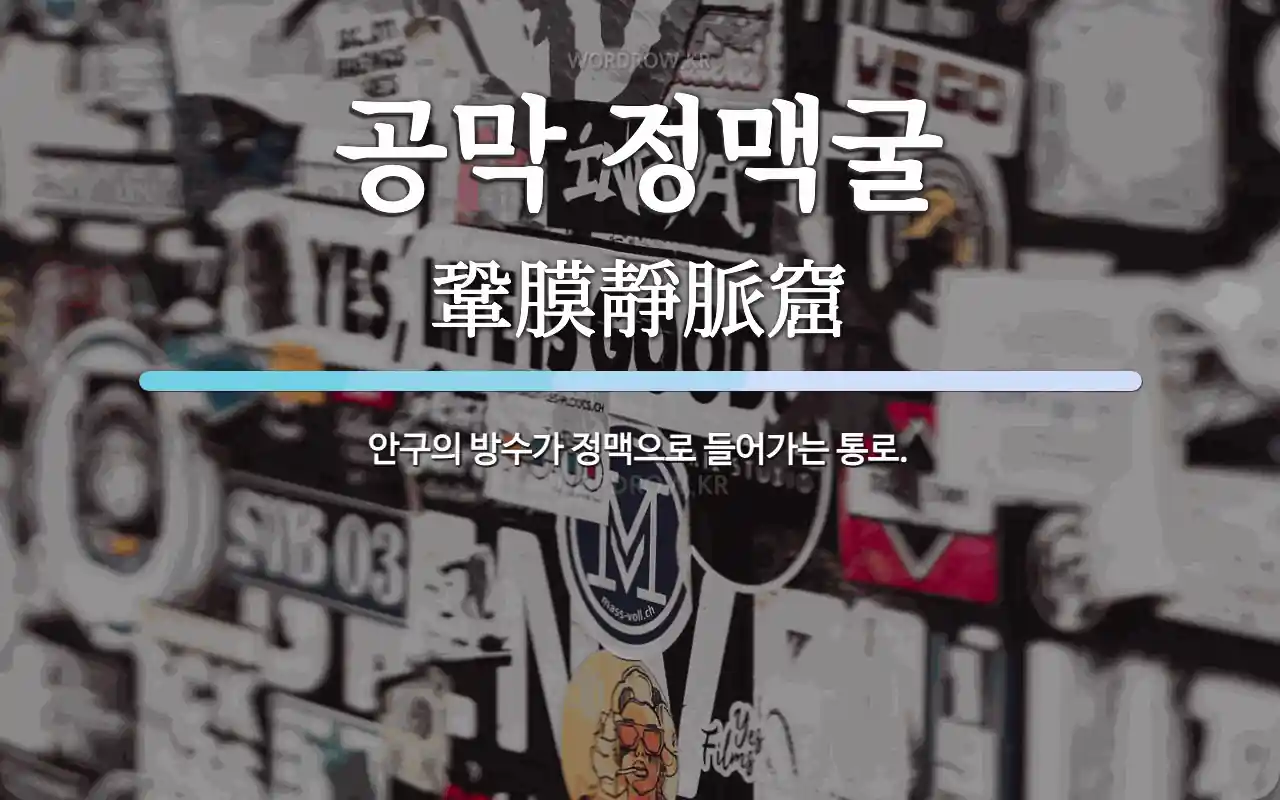 공막 정맥굴 뜻 안구의 방수가 정맥으로 들어가는 통로