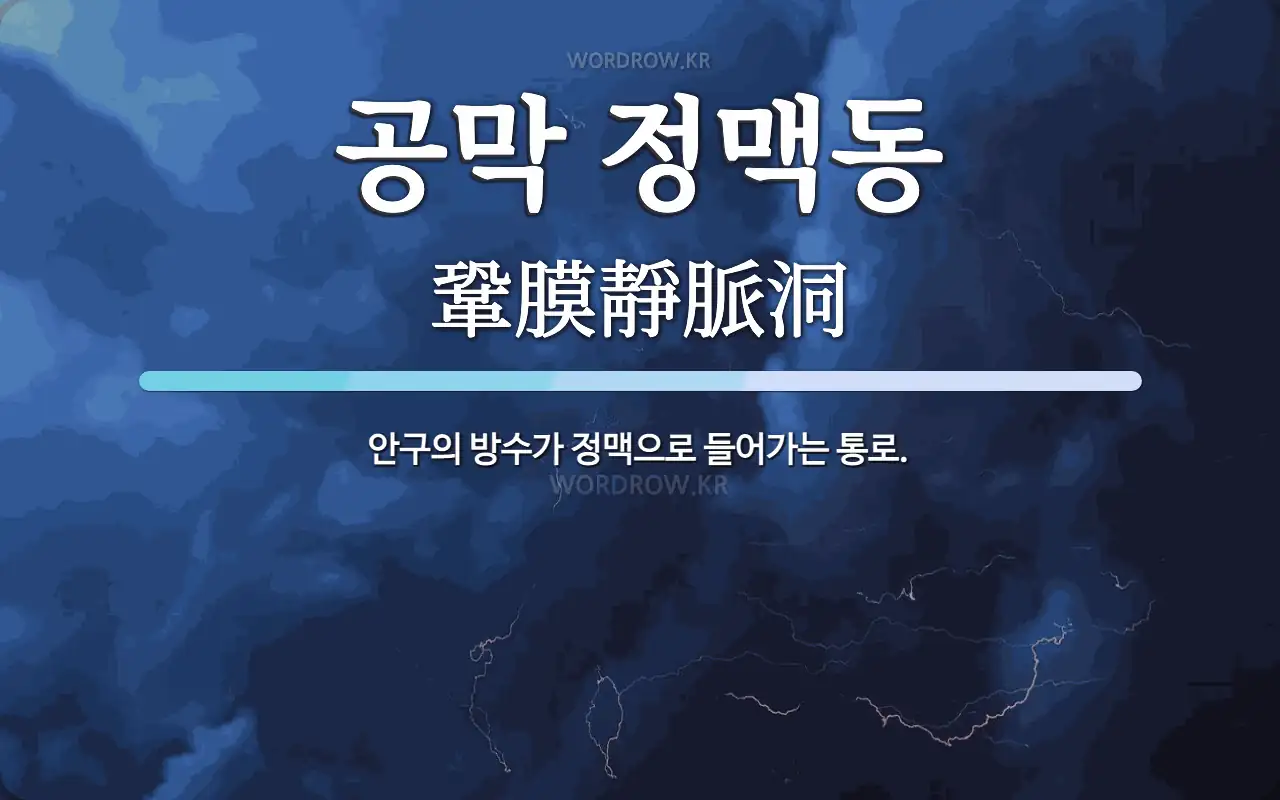 공막 정맥동 뜻 안구의 방수가 정맥으로 들어가는 통로
