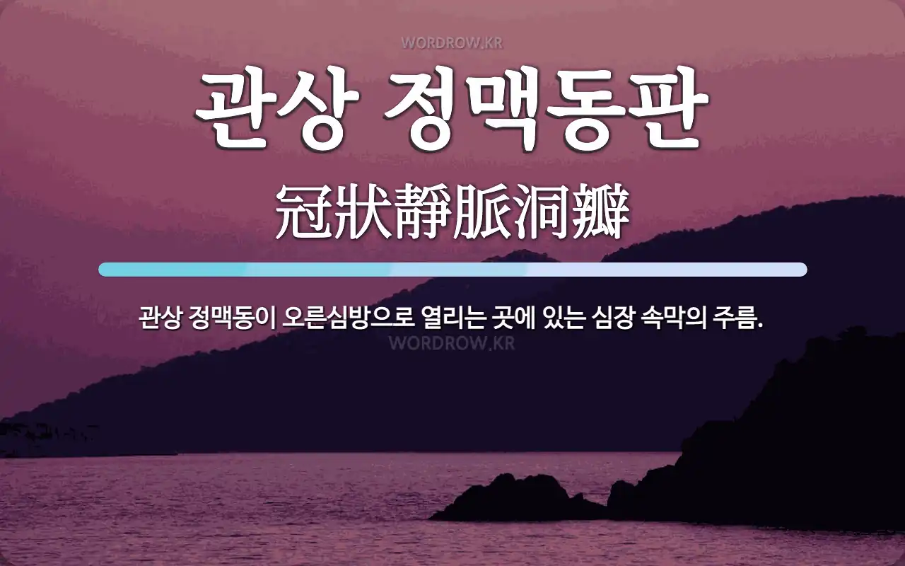 관상 정맥동판 뜻 관상 정맥동이 오른심방으로 열리는 곳에 있는 심장 속막의 주름